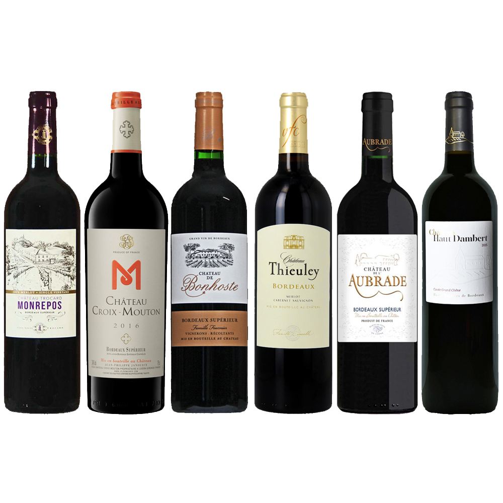 Probierpaket Rotwein mit 6 Flaschen AOC Bordeaux - Villa Vitis